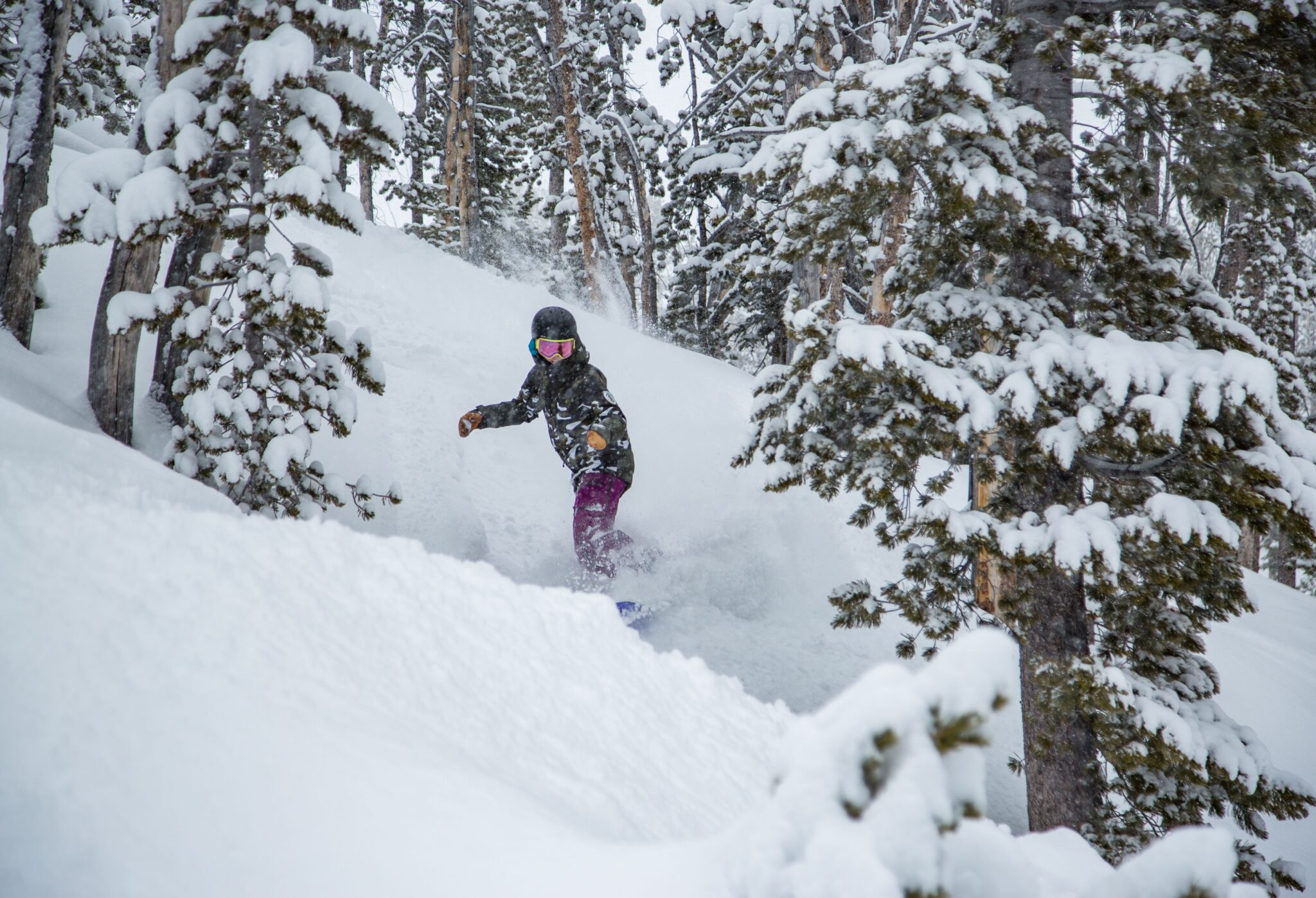 Rider Rally - The Snow Pros