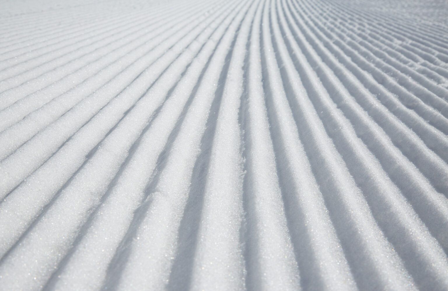 PSIA-AASI: Cross-Country Instructor Certification